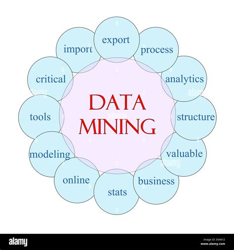 Data Mining Concept Circular Diagram In Pink And Blue With Great Terms