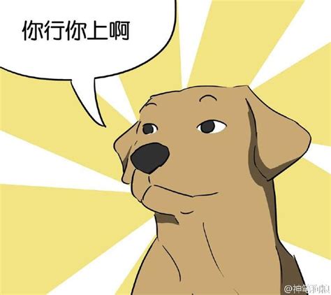中秋特輯腦洞GIF動圖故事聽說愛笑的狗狗運氣不會太差 每日頭條