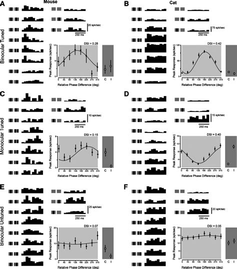 Binocular Integration And Disparity Selectivity In Mouse Primary Visual Cortex Pmc