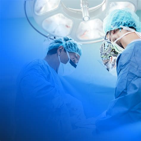 Software Development Case Studies Seven Peaks Software