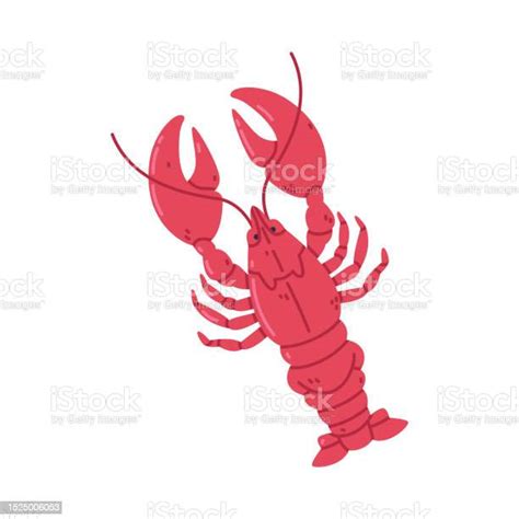 랍스터 갑각류는 해산물과 신선한 바다 제품 벡터 그림으로 갈고리 발톱에 대한 스톡 벡터 아트 및 기타 이미지 갈고리 발톱 갑각류 개념 Istock