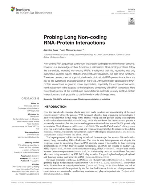 pdf probing long non coding rna protein interactions