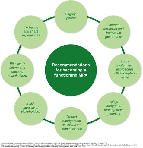 Recommendations For Becoming A Functioning Marine Protected Area