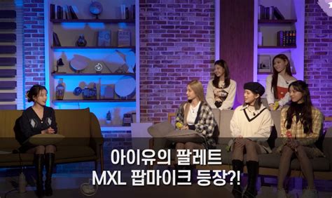 아이유의 팔레트 Mxl 팝마이크 등장 사운드캣