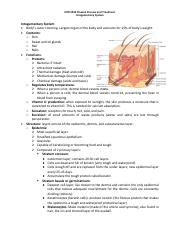 Understanding The Integumentary System Functions And Structure Course Hero