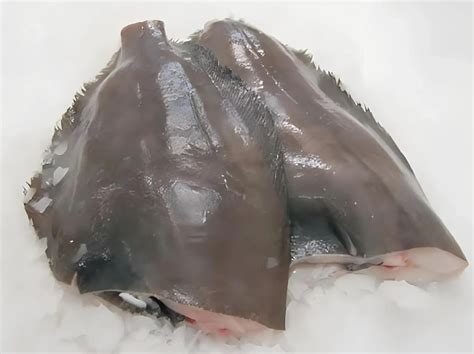 Norways Greenland Halibut Exports Face Declining Demand