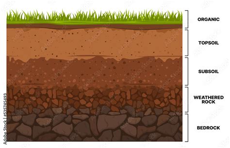 Soil Layer Infographics Earth Texture Horizon Subsoil Land And