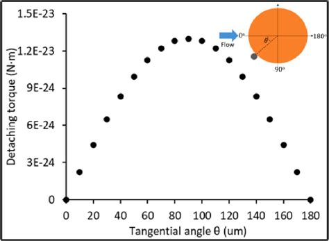 Fig C The Detaching Torque Versus The Tangential Angle Download Scientific Diagram