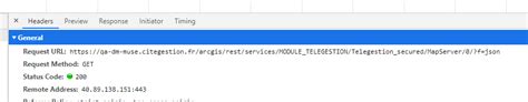 Proxy Not Supported In Featurelayer · Issue 1232 · Esriesri Leaflet · Github