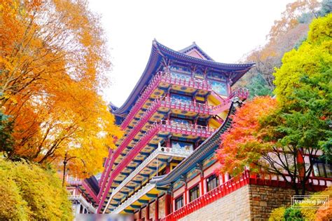 충북 단풍 명소 소백산 구인사 단양 구경시장 단양 가볼만한곳 여행 네이버 블로그