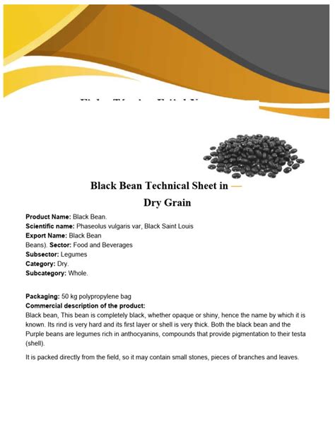 Black Bean Technical Sheet Pdf Bean Seed