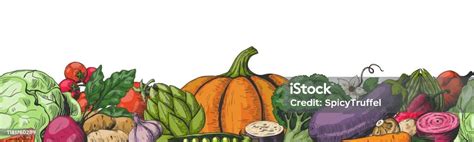 090719손으로 그린 색 채소 테두리 이음새있는 패턴 텍스트 공간이 있는 음식 스케치 테두리 프레임입니다 벡터 일러스트레이션 색상 묘사에 대한 스톡 벡터 아트 및 기타