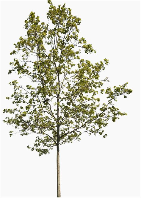 Cutout 3d Architectural Visualization Architecture Visualization 3d Visualization