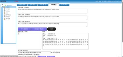 hutool sm2加解密 自定义公钥私钥 hutool sm2加密 csdn博客