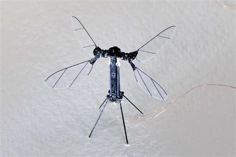 Insect Inspired Robobee X Wing Uses Solar Power To Fly