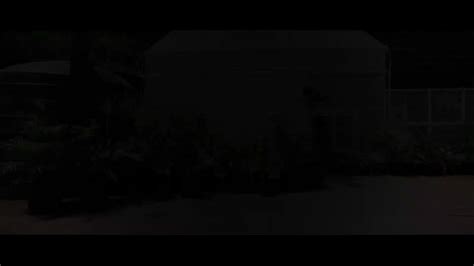 dhruv savaliya posted on linkedin