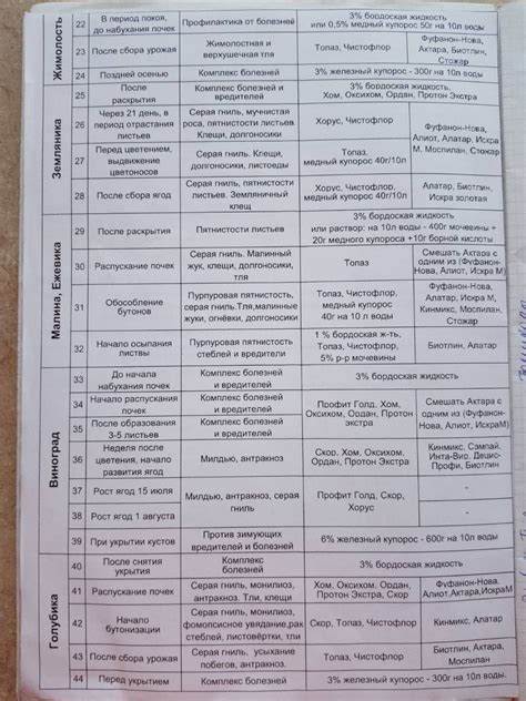 Пин от пользователя Ирина Клокова на доске Дача в 2025 г Садовые вредители Растения Садовый