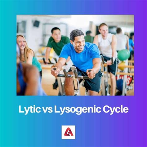 Lytic Vs Lysogenic Cycle Difference And Comparison