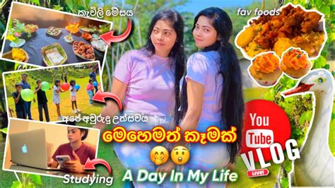 තවත් ලස්සන දවසක් අපේ අවුරුදු උත්සවය 🥰 Part 03 Vlogger Vlog