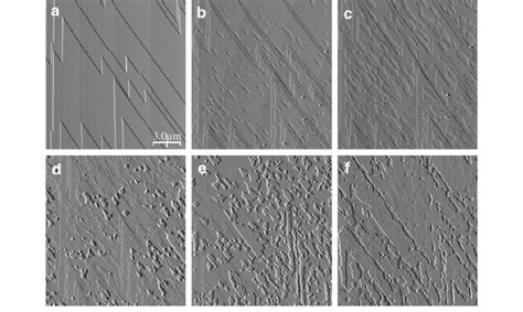 Sequence Of Afm Deflection Images Showing A C The Dissolution Of The Download Scientific