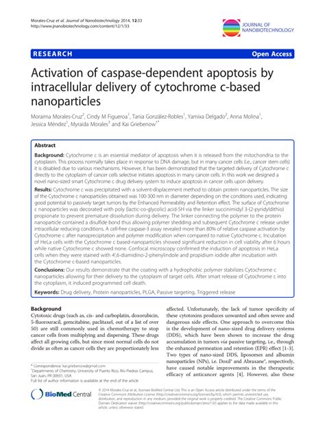 Pdf Activation Of Caspase Dependent Apoptosis By Intracellular