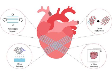 What Is Polycaprolactone Structure Density And Applications