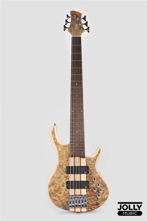Modern Bass Jolly Music