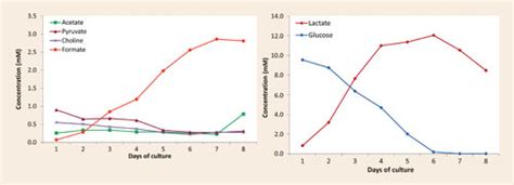 Cell Culture Media Optimization