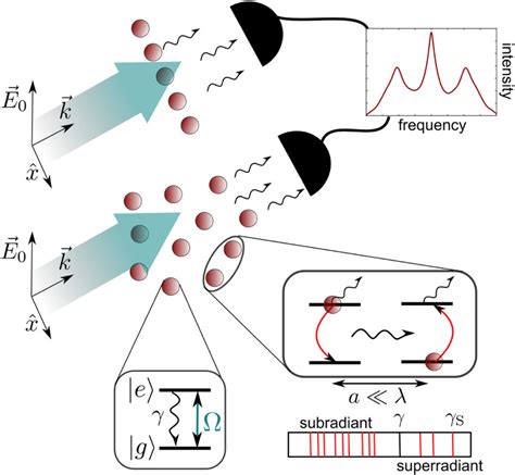 An Ensemble Of N Two Level Atoms A One Dimensional Chain Along The Download Scientific Diagram