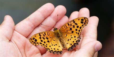 Readiness For Change How To Assess Improve It