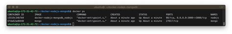 Docker 시작하기 Docker compose를 사용해서 Nodejs Mongodb 컨테이너 만들기
