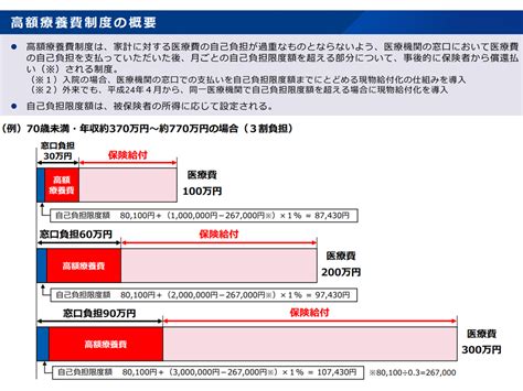 高額療養費制度見直しに当たり、「患者の医療費負担」と「現役世代の保険料負担」バランスを広い視点で考えるべき—高額療養費専門委員会 Gemmed データが拓く新時代医療