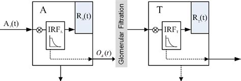 Figure 1 From Quantitative Estimation Of Renal Function With Dynamic