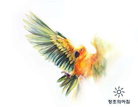 기초디자인 건국대 기디 입시미술 기초디자인 개체묘사 새 앵무새 일러스트 디자인 새 색연필 그림 그림 디자인