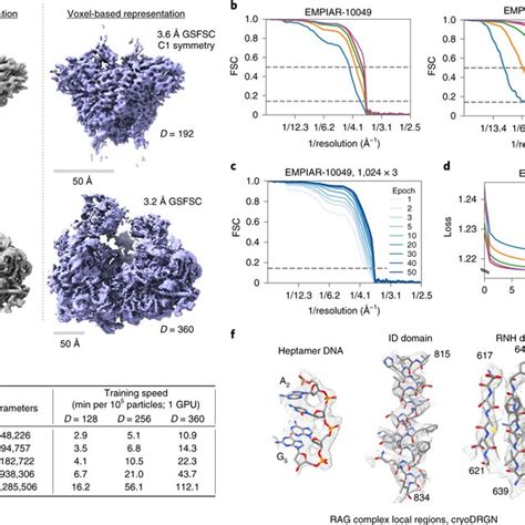 Cryodrgn Reconstruction Of Heterogeneous Cryo Em Structures Using