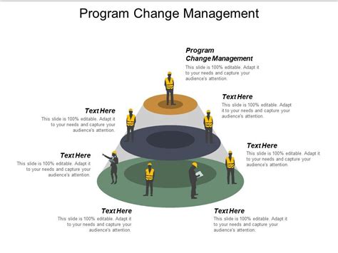 Program Change Management Ppt PowerPoint Presentation Icon Graphics Cpb