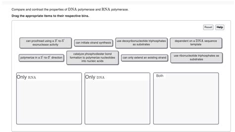 Dna And Rna Compare And Contrast