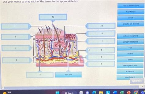 Solved Use Your Mouse To Drag Each Of The Terms To The