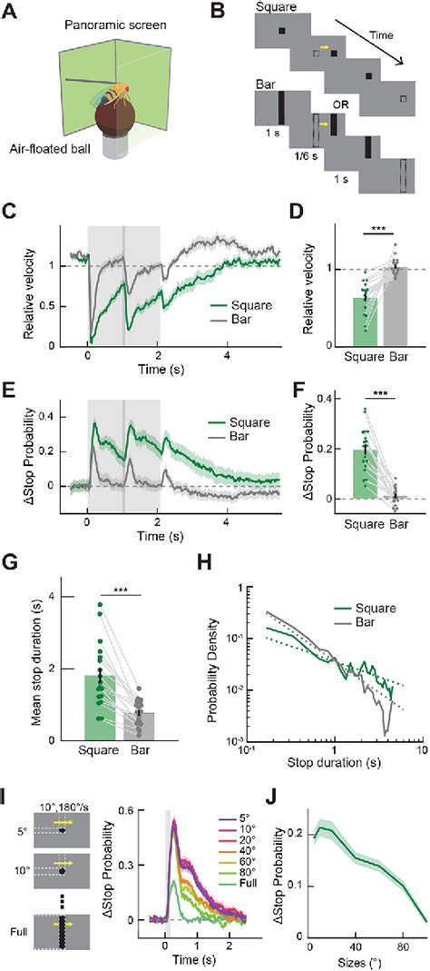 Figure 1 From Object Displacement Sensitive Visual Neurons Drive Freezing In Drosophila