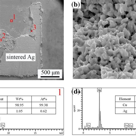Sem Shear Fracture Morphology And Eds Analysis Of The Nano Ag Sintered