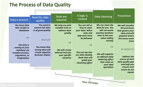 The Process Of Data Quality