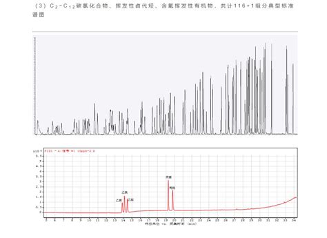 液氮预浓缩GCC600L 挥发性有机物预浓缩 四川晟实科技有限公司