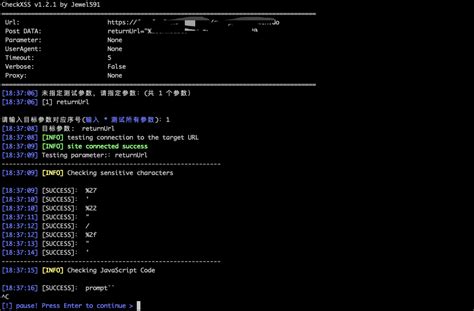 checkxss detect xss vulnerability in web applications pentesttools