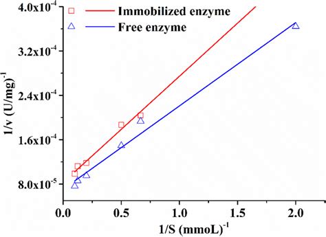 Enzyme Reaction Kinetics Of The Immobilized And Free Enzyme In The Download Scientific Diagram
