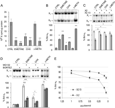 Impact Of Protein Synthesis On Bcl X Splicing A [ 35 S]cysteine Download Scientific Diagram