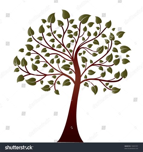 Tree Trunk Leaves Separate เวกเตอรสตอก ปลอดคาลขสทธ Shutterstock