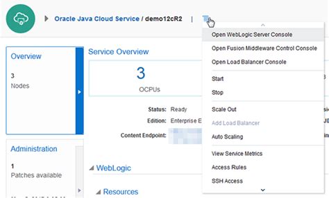 Applying And Rolling Back A Patch For An Oracle Java Cloud Service Instance