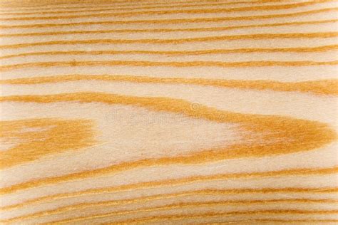 Pine Wood Texture Stock Photo Image Of Panels Color