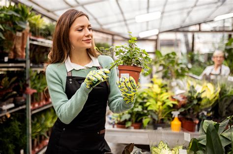 화분에 심은 식물을 돌보는 식물 가게 정원에서 플로리스트 노동자 30 34세에 대한 스톡 사진 및 기타 이미지 30 34세