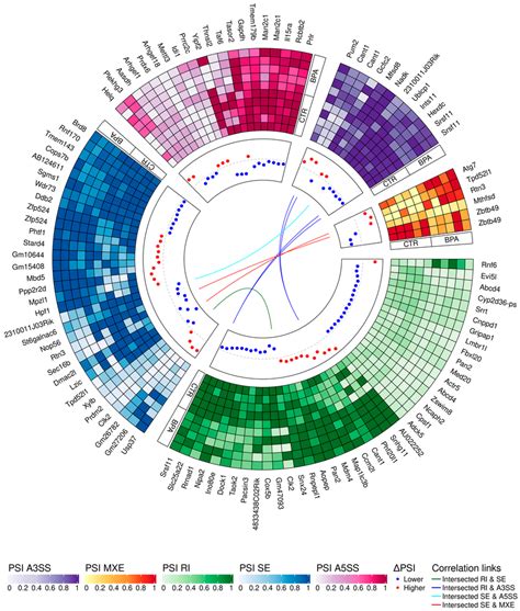 Circular Heatmap Presents The Differentially Alternative Splicing Download Scientific Diagram